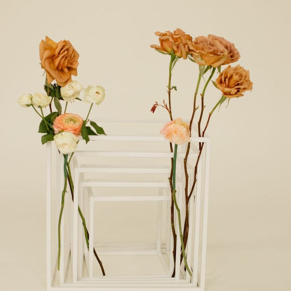 Acrylic Display Risers & Event Plinths | Plinths New York